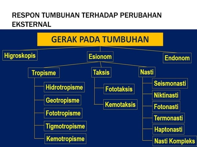 REPRODUKSI PADA TUMBUHAN hshgsygsajb.pdf