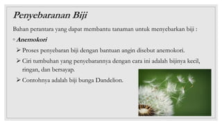 Reproduksi seksual pada tumbuhan | PPT