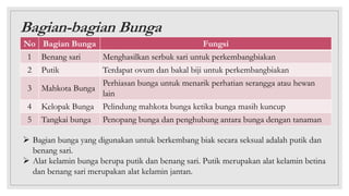 Reproduksi seksual pada tumbuhan | PPT