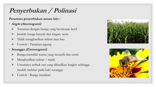 Reproduksi seksual pada tumbuhan | PPT