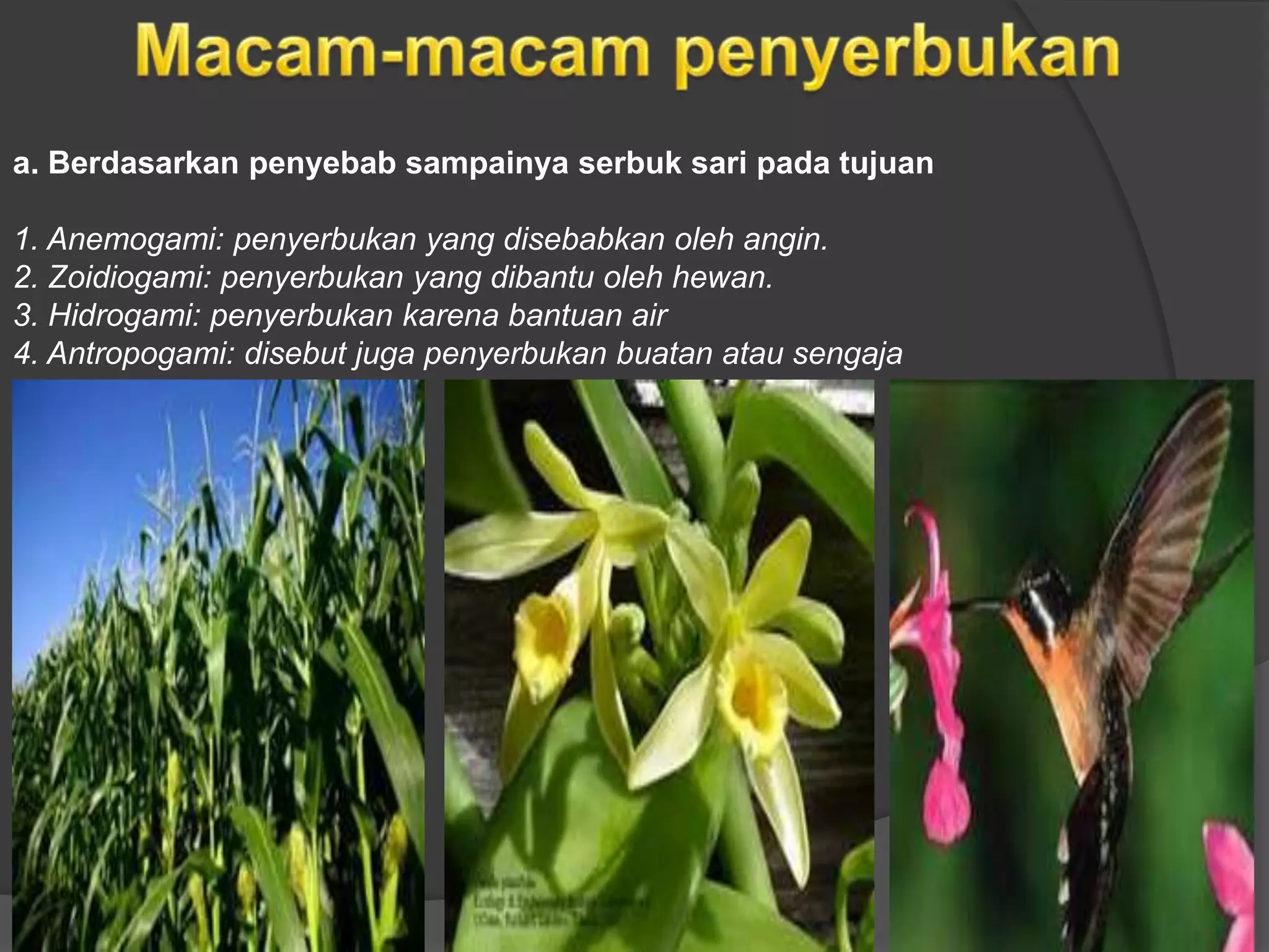 Reproduksi pada tumbuhan biji | PPTX