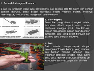 Reproduksi pada tumbuhan biji | PPTX