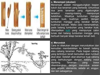 Reproduksi pada tumbuhan biji | PPTX