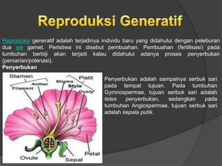 Reproduksi pada tumbuhan biji | PPTX