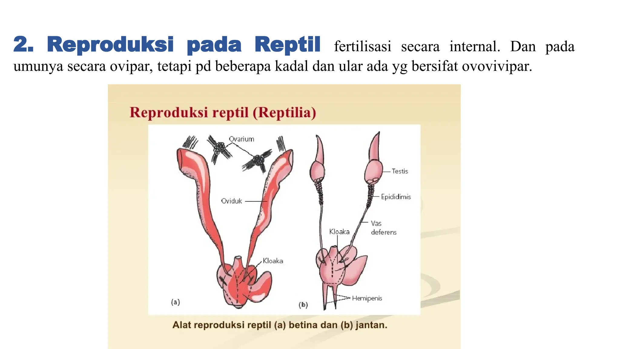 bab 2REPRODUKSI pada TUMBUHAN dan HEWAN.ppt