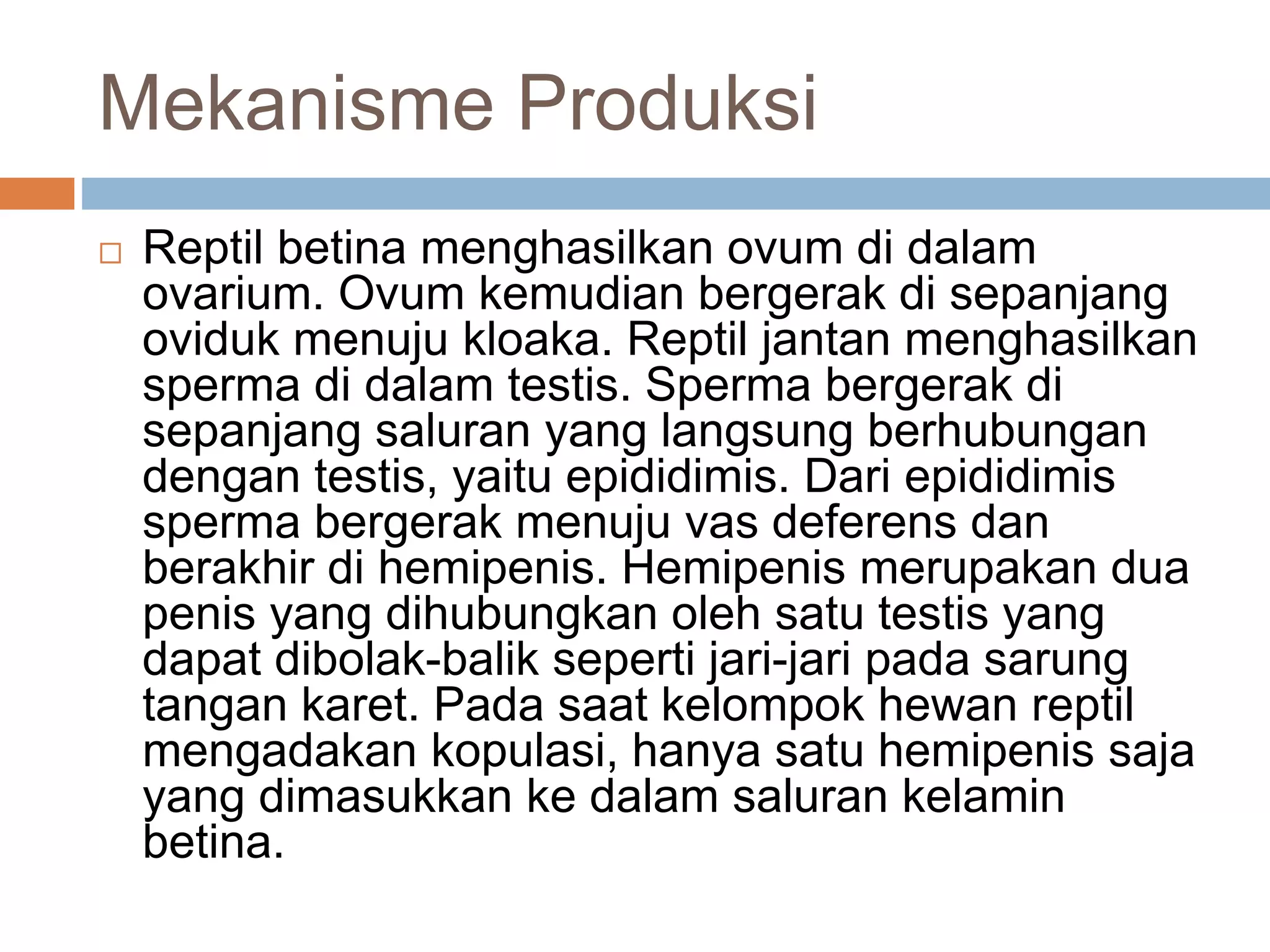 Reproduksi reptil | PPTX