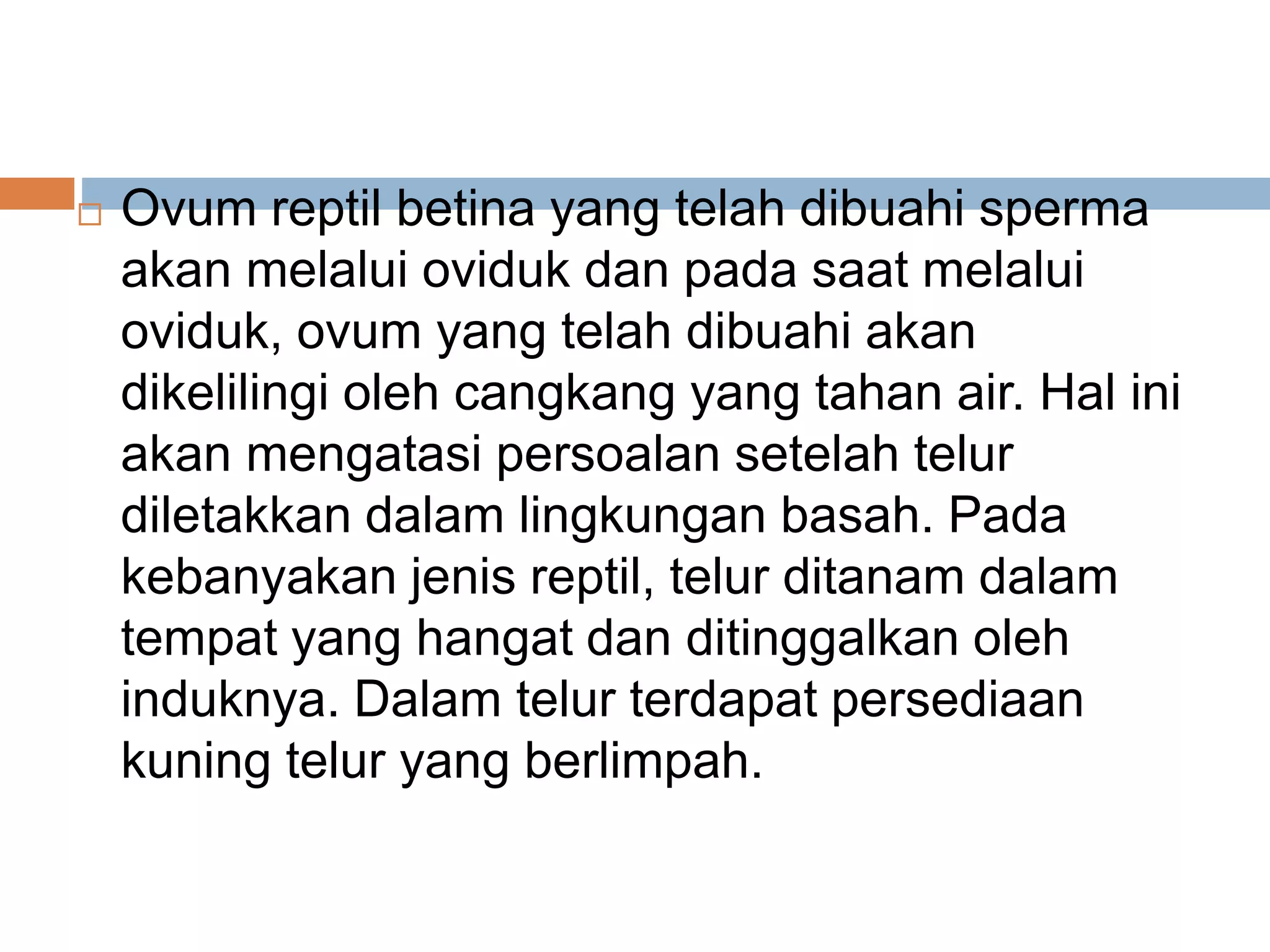 Reproduksi reptil | PPTX