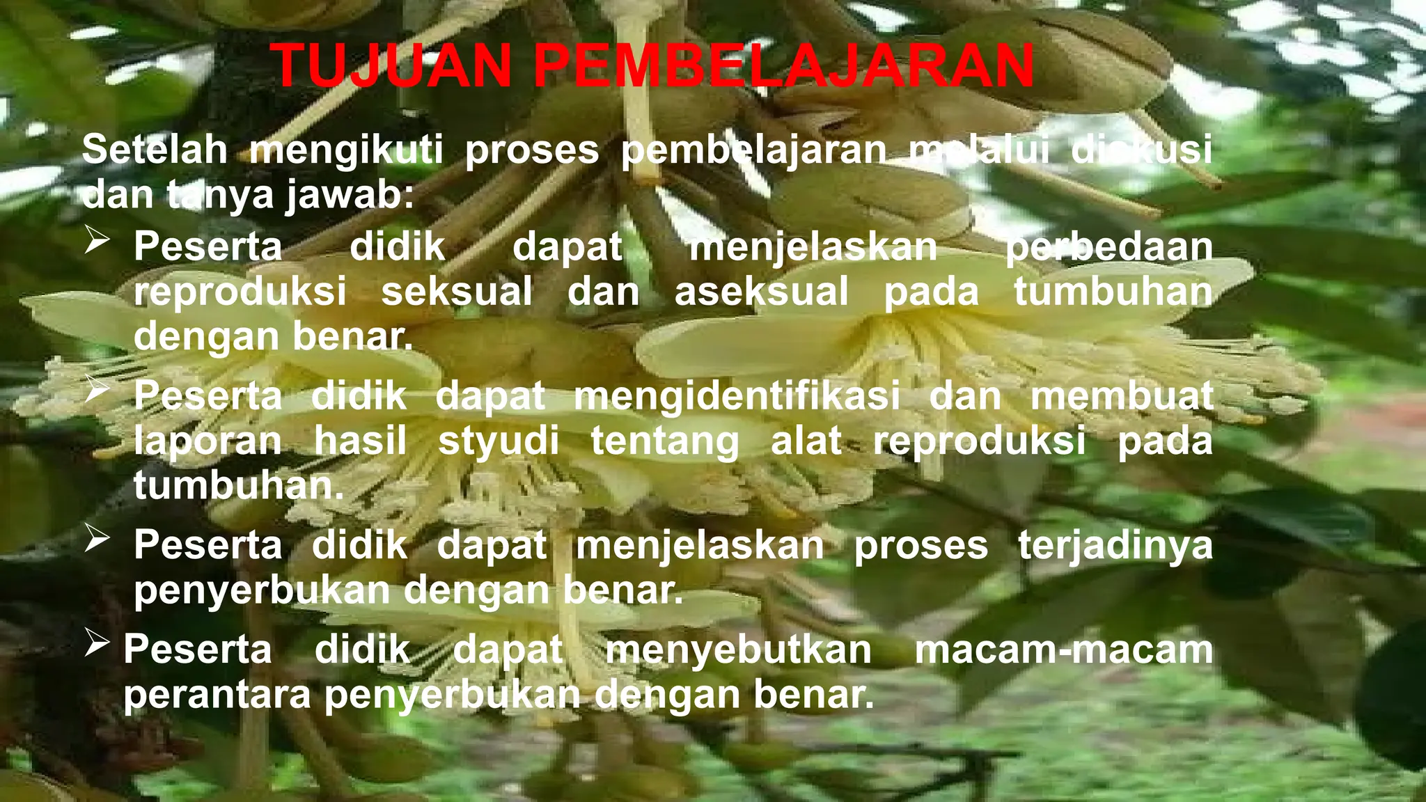 Reproduksi Seksual Pada Tumbuhan Berbiji Tertutup (Angiospermae).pptx
