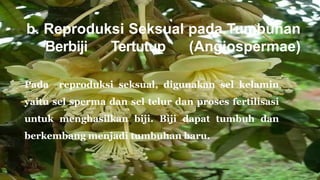 Reproduksi Seksual Pada Tumbuhan Berbiji Tertutup (Angiospermae).pptx