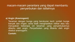 Reproduksi Seksual Pada Tumbuhan Berbiji Tertutup (Angiospermae).pptx