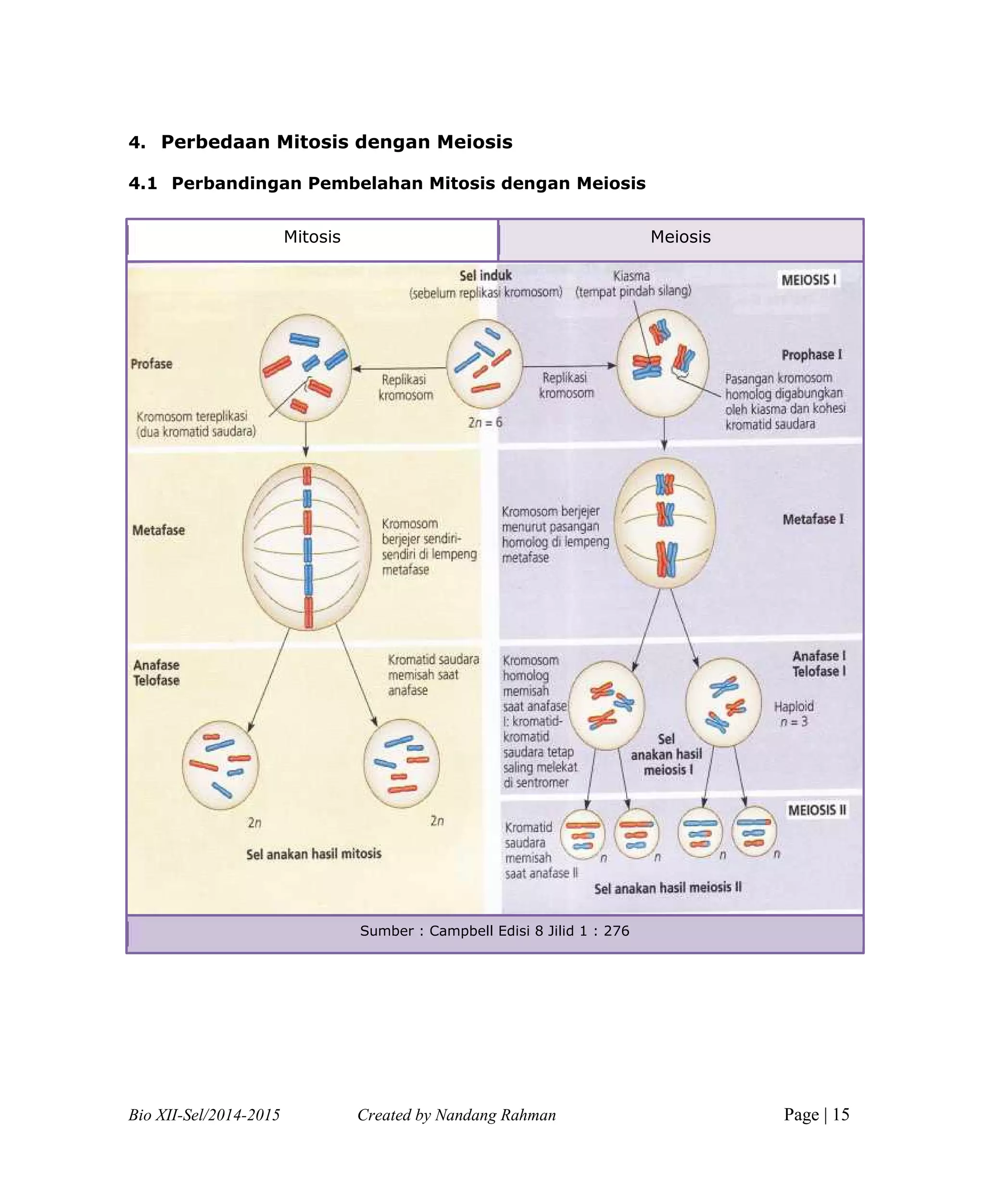 Reproduksi sel 1415(2) | PDF
