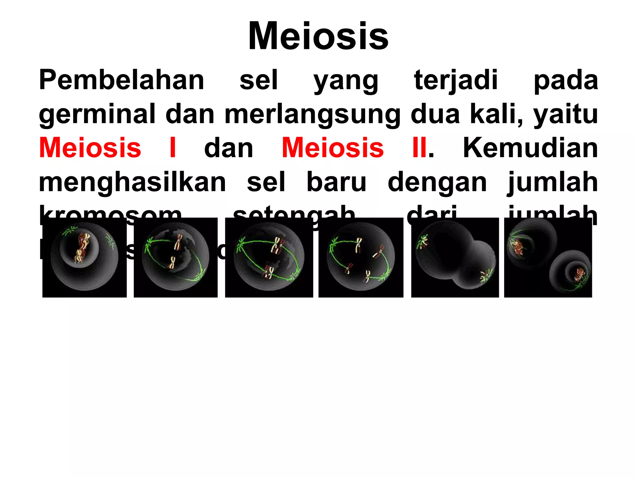 Reproduksi sel (amitosis, mitosis, dan meiosis) | PPTX