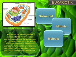 PPT Multimedia Interaktif Reproduksi Sel | PPSX