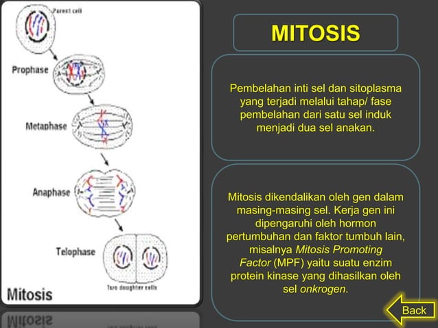 PPT Multimedia Interaktif Reproduksi Sel | PPSX