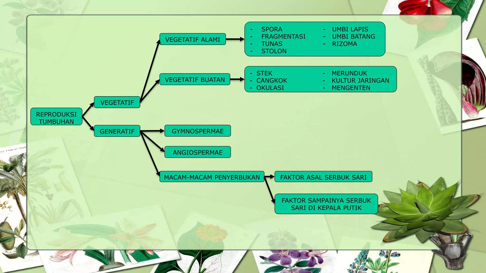 Reproduksi_Tumbuhan.pptx