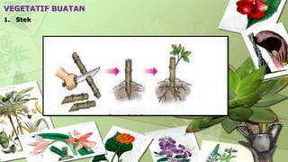 Reproduksi_Tumbuhan.pptx