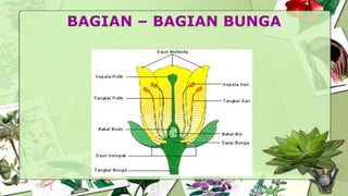 Reproduksi_Tumbuhan.pptx