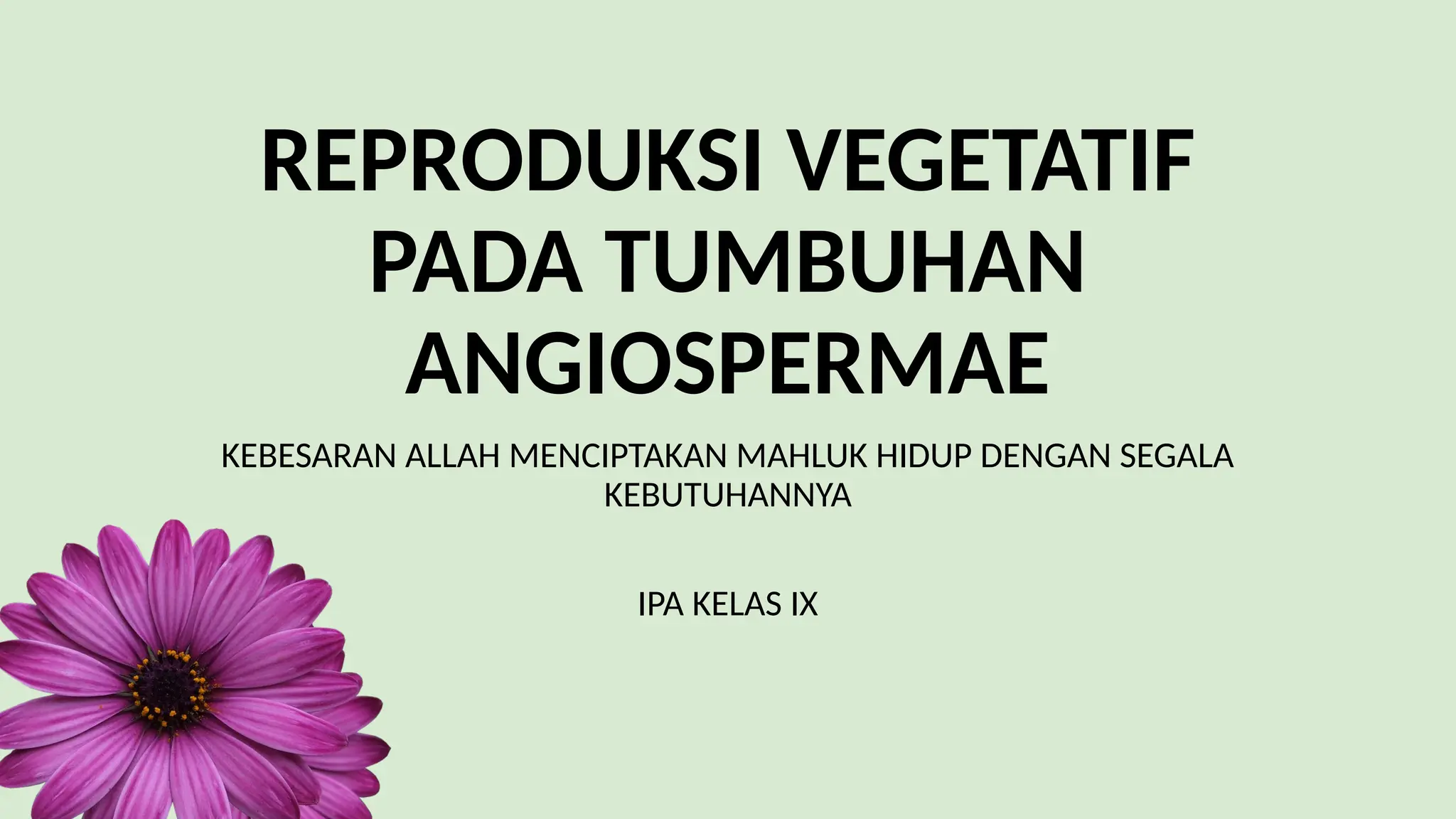 REPRODUKSI TUMBUHAN ANGIOSPERMAE ilmu pengetahuan alam.pptx