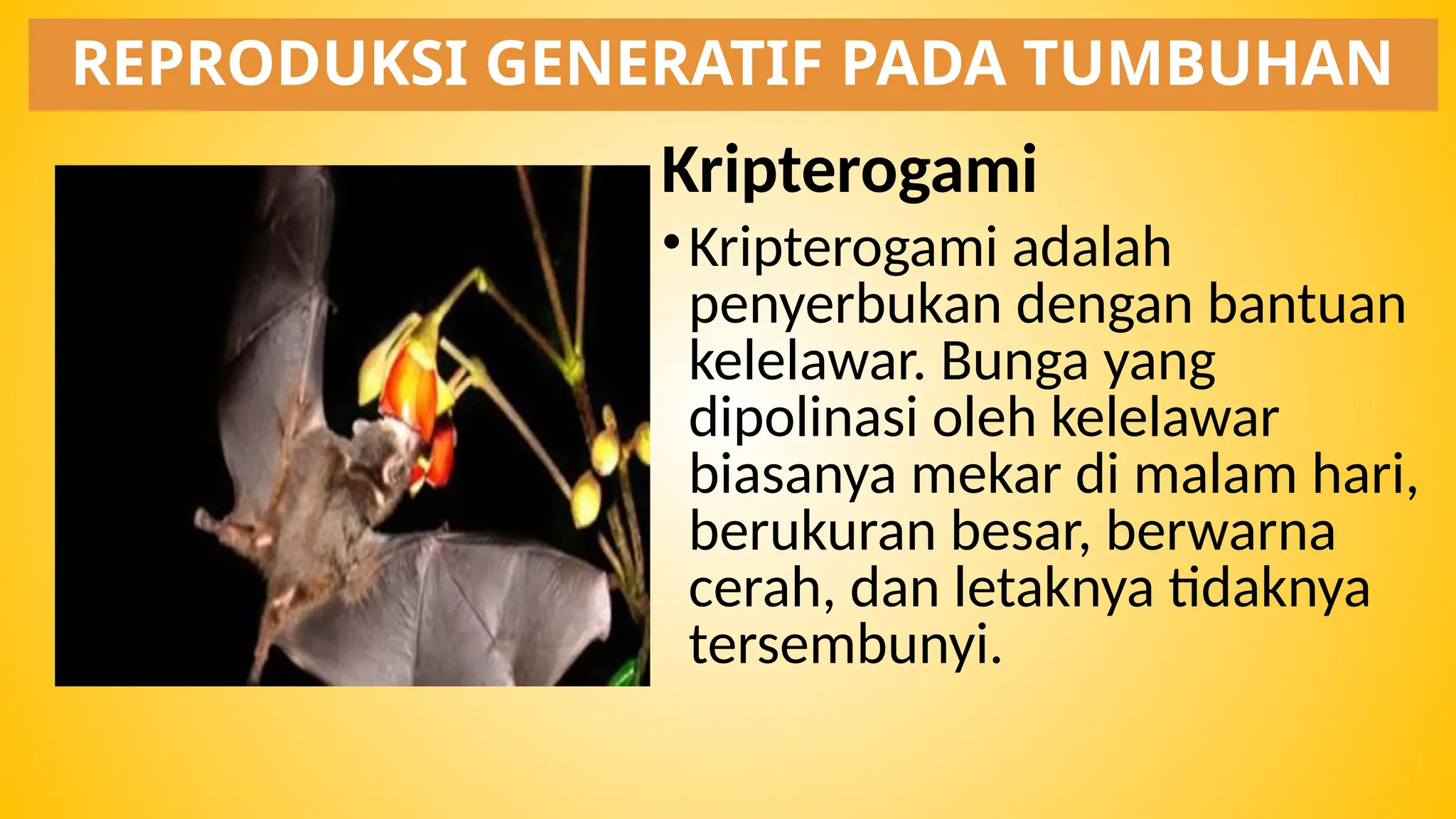 REPRODUKSI TUMBUHAN ANGIOSPERMAE ilmu pengetahuan alam.pptx