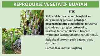 REPRODUKSI TUMBUHAN ANGIOSPERMAE ilmu pengetahuan alam.pptx