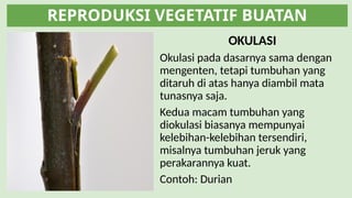 REPRODUKSI TUMBUHAN ANGIOSPERMAE ilmu pengetahuan alam.pptx