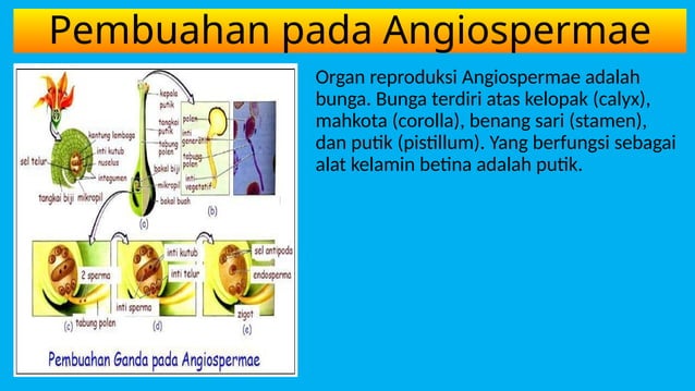 REPRODUKSI TUMBUHAN ANGIOSPERMAE ilmu pengetahuan alam.pptx