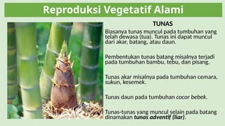 REPRODUKSI TUMBUHAN ANGIOSPERMAE ilmu pengetahuan alam.pptx