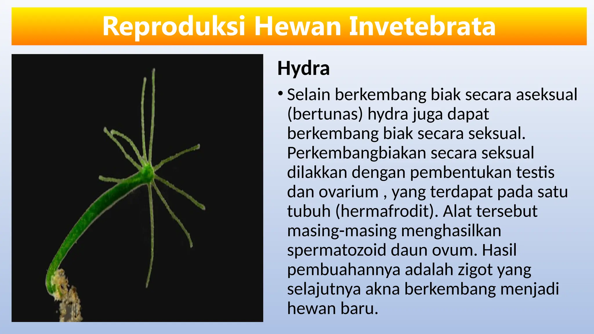 Reproduksi Tumbuhan dan Hewan-Reproduksi Tumbuhan dan Hewan.pptx