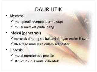 Reproduksi virus | PPT