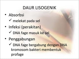 Reproduksi virus | PPT