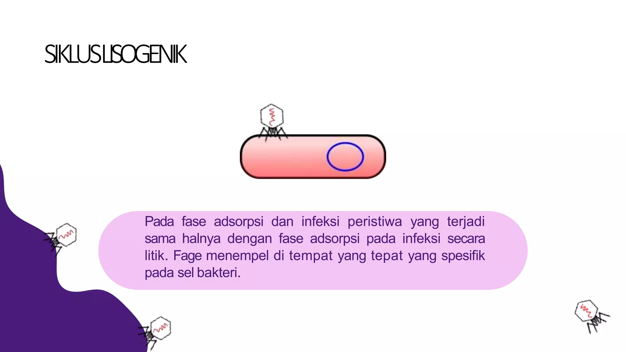 Reproduksi Virus ppt.pptx