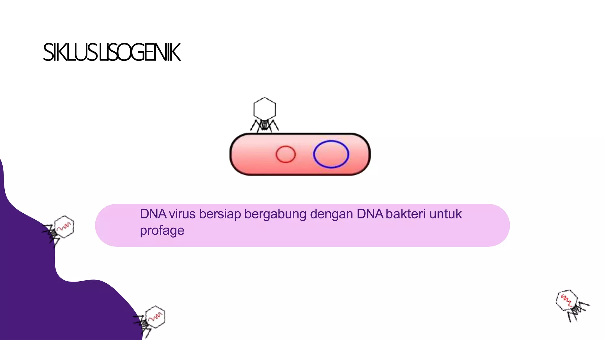 Reproduksi Virus ppt.pptx
