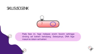 Reproduksi Virus ppt.pptx