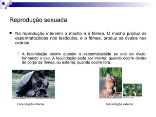 Reprodução Nos Animais | PPT