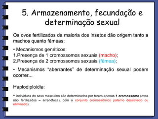 Tipos de reprodução em insetos | PPT