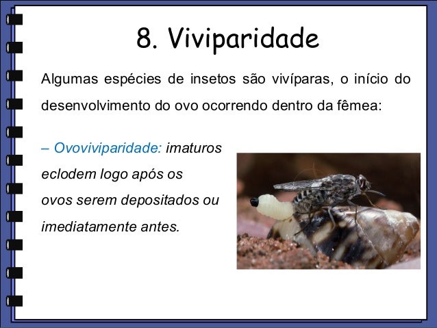 Tipos de reprodução em insetos