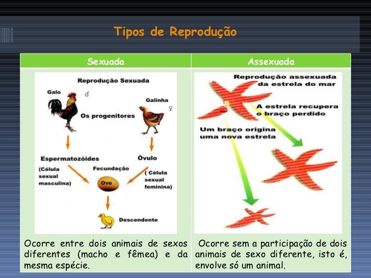 Reprodução dos animais
