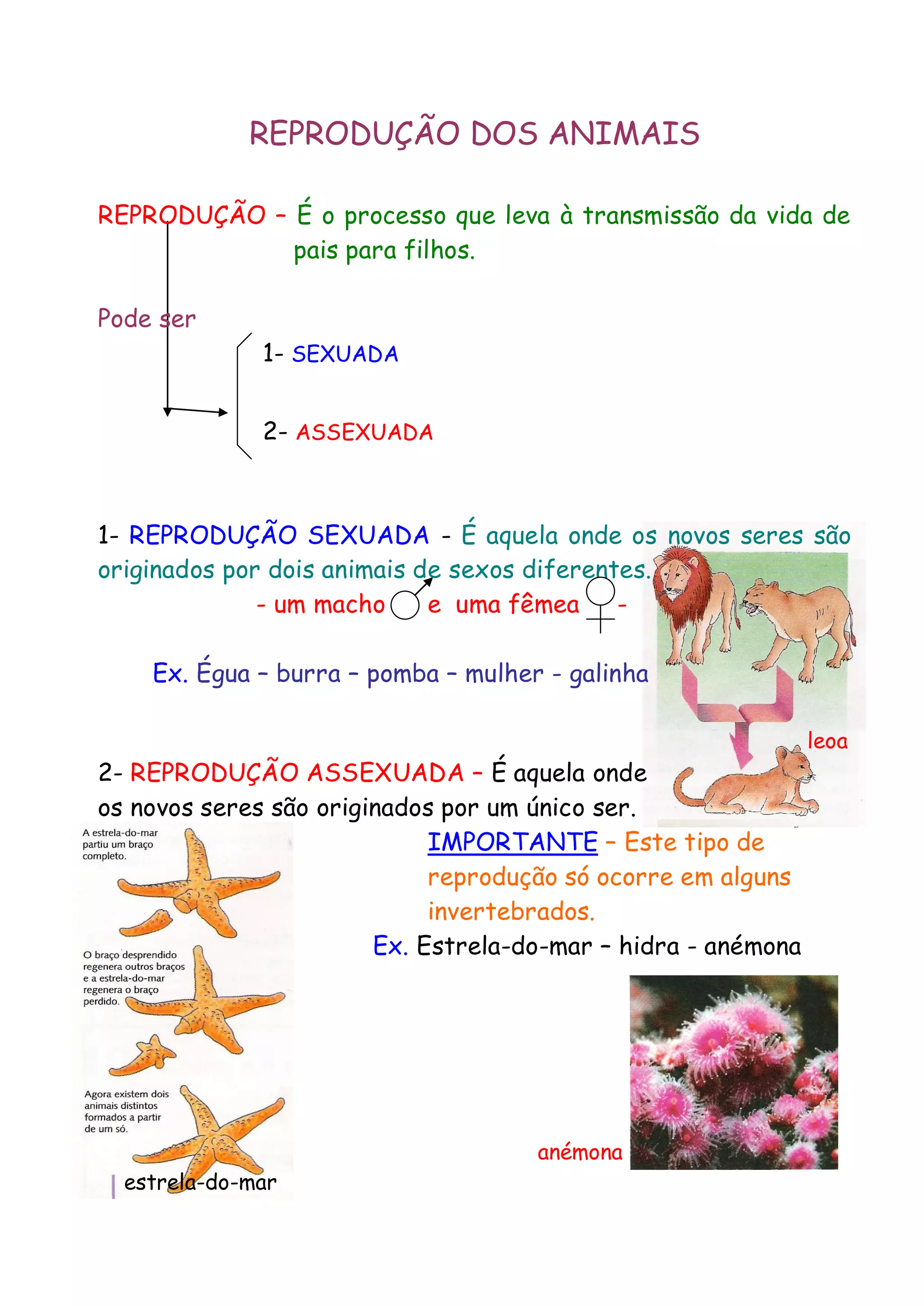 Reprodução dos animais | PDF