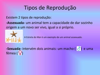 Reprodução dos animais Poppy | PPTX