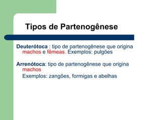 REPRODUÇÃO DOS SERES VIVOS .pptx