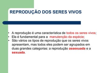 REPRODUÇÃO DOS SERES VIVOS .pptx