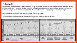 Ciências 8 ano - Reprodução e sexualidade.pptx