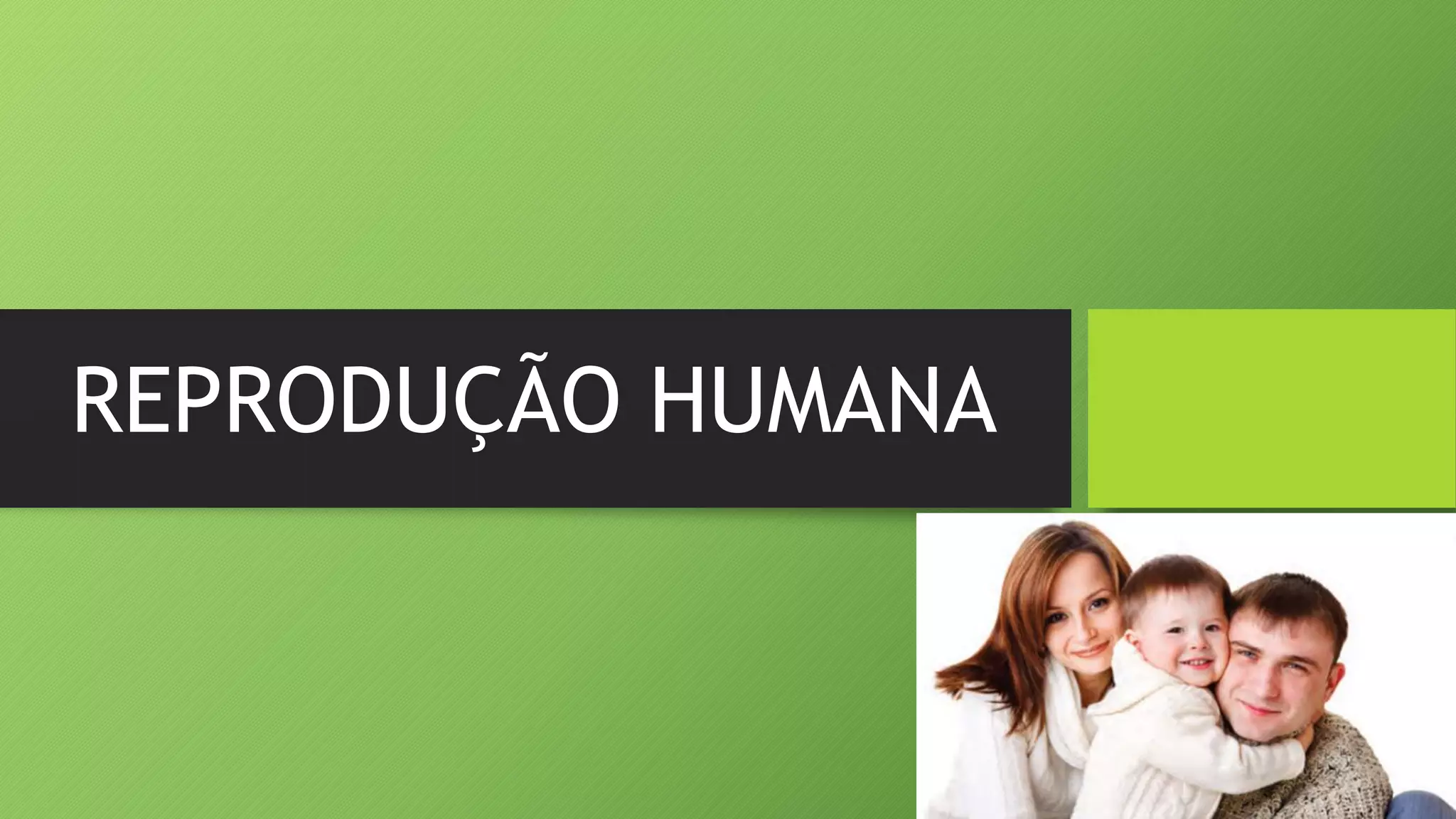 Reprodução humana - 8º ano | PPTX