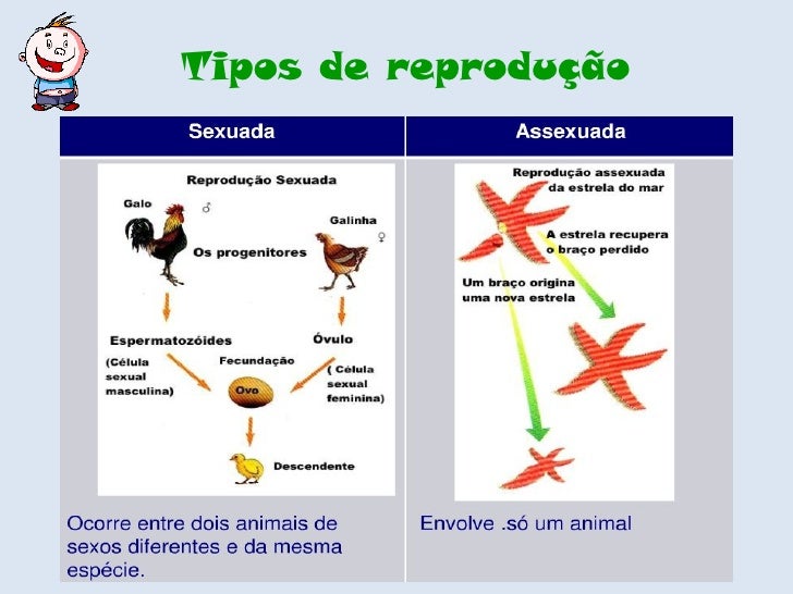 Reprodução nos animais