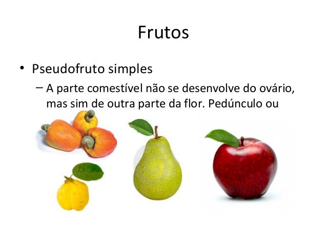 Reprodução vegetal 2 segunda aula
