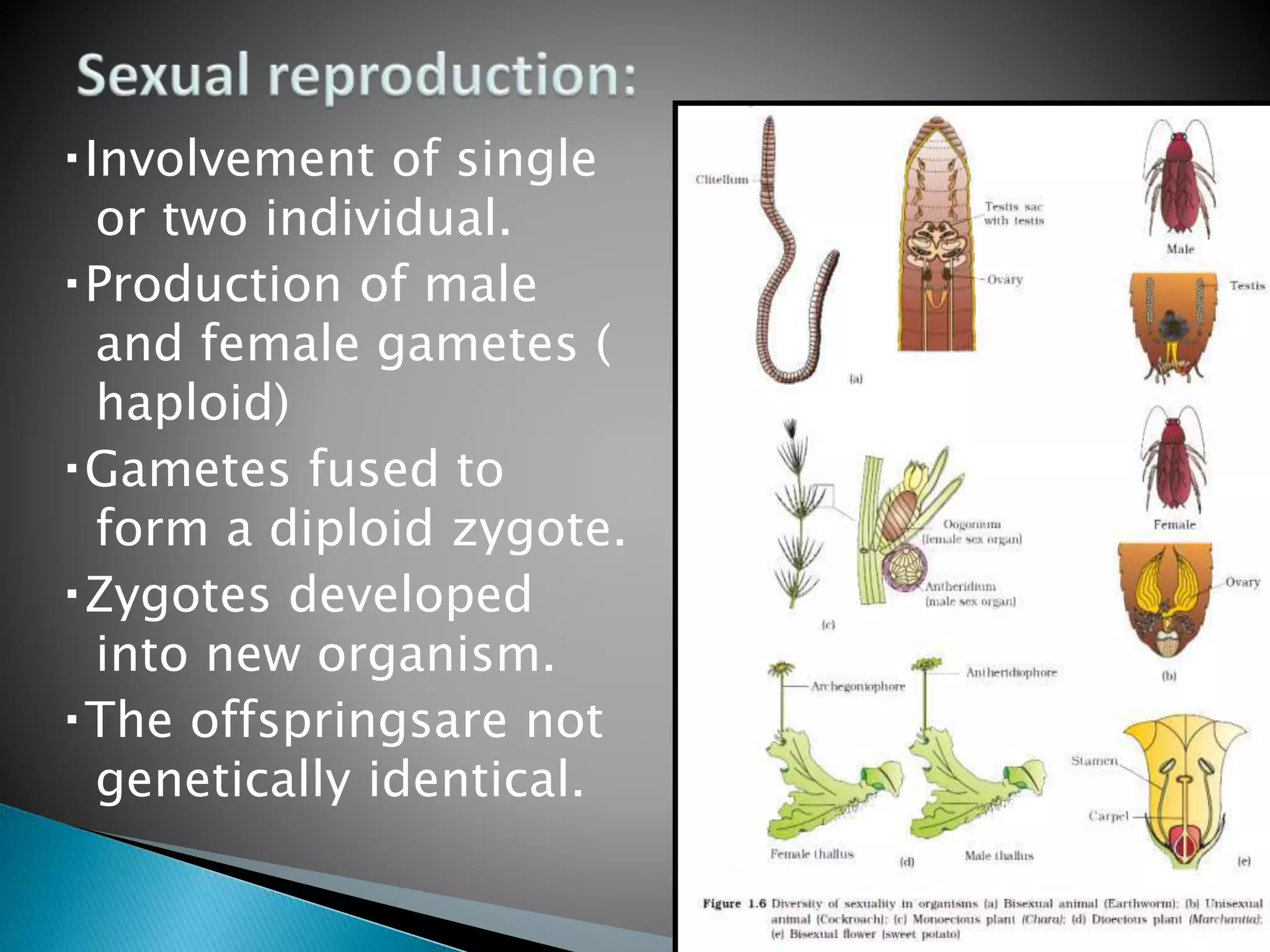 Reprodution in organisms | PPT