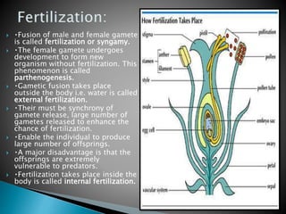 Reprodution in organisms | PPT