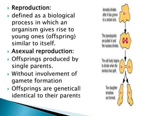 Reprodution in organisms | PPT