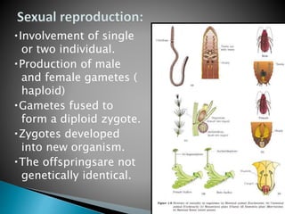 Reprodution in organisms | PPT