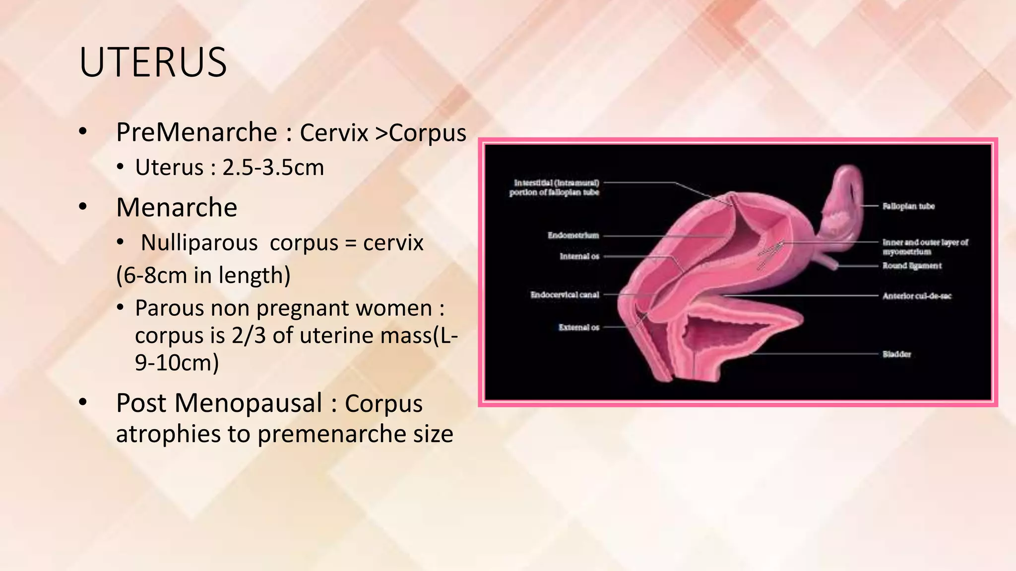Imaging of female reproductive system RV | PPTX